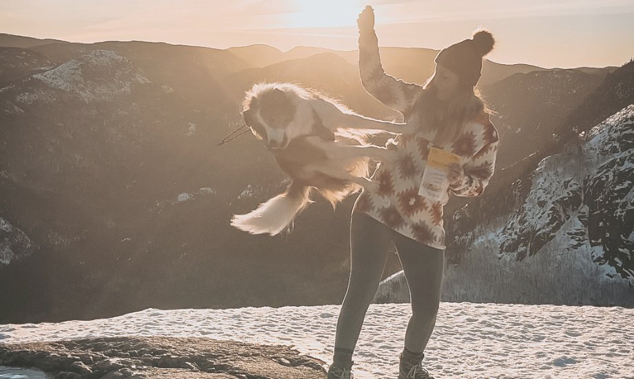 6 benefits of trick training – healthybud USA